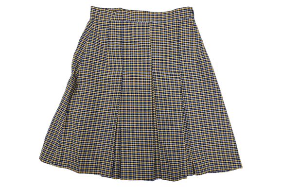 Pleated Skirt - Orissa Primary – Gem Schoolwear
